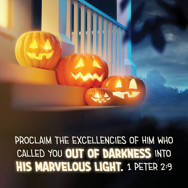 1 Peter 2:9 – Moments With The Book