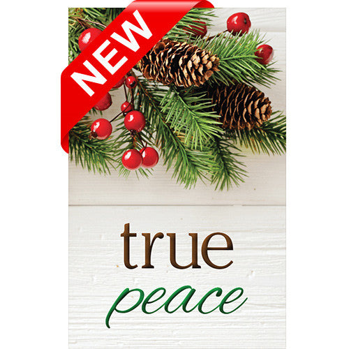 True Peace – Moments With The Book
