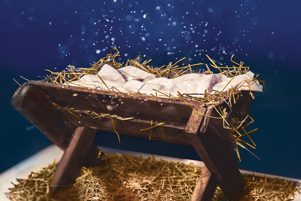 SeekLife - Jesus is the Perfect Gift