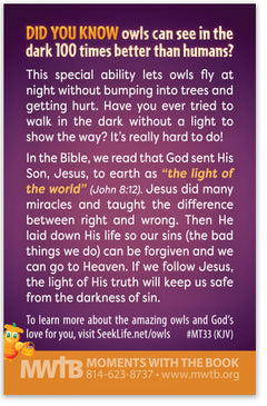 Motion Tract – Happy Owl'oween – Moments With The Book