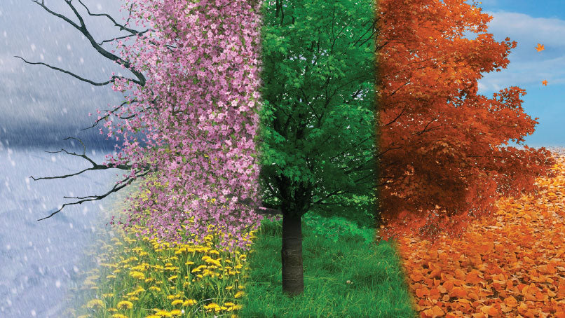 Reaping in Due Season – Moments With The Book