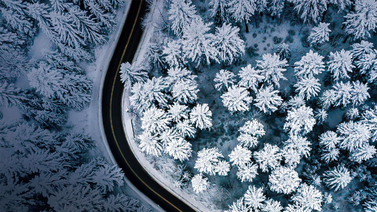 The Importance of Christian Unity – Moments With The Book